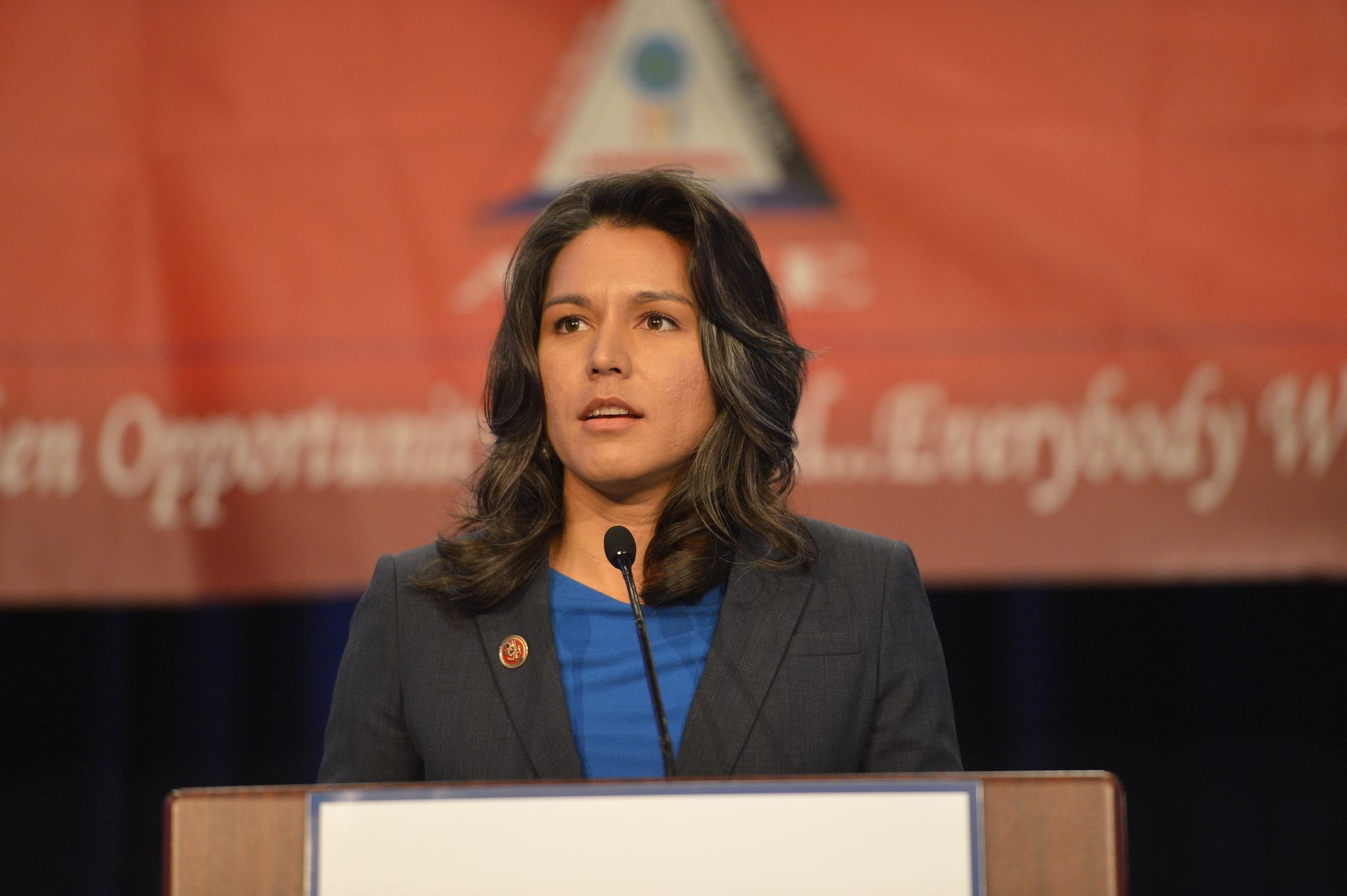 The Overwhelming Evidence in Support of Clinton's Claims About Gabbard ...